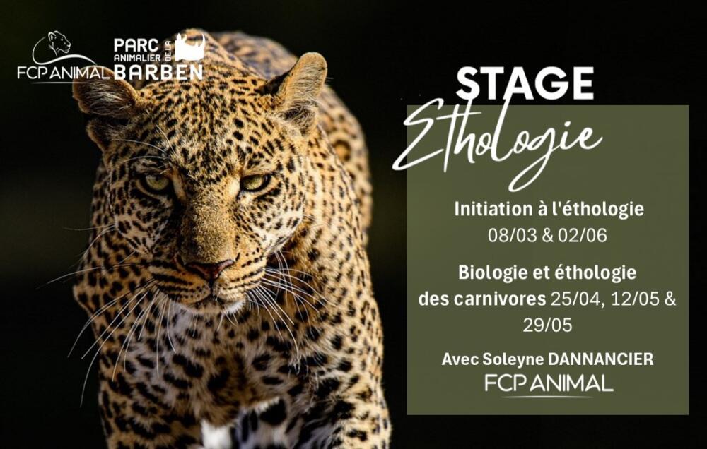 Actualités - Parc animalier de la Barben