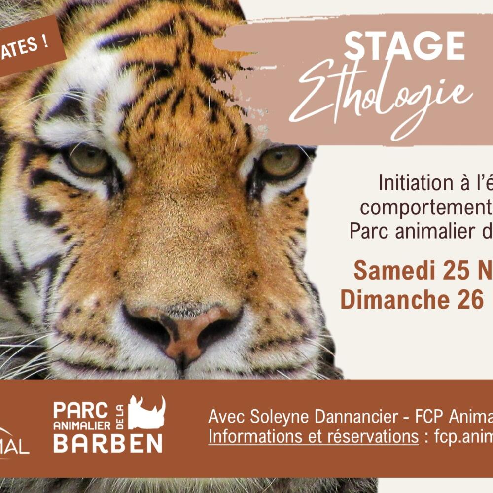 Parc animalier au cœur de la Provence - Parc animalier de la Barben