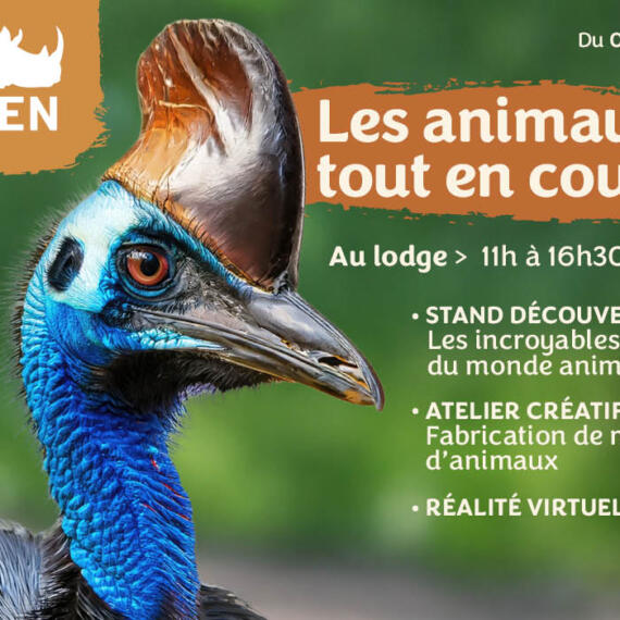 Parc animalier au cœur de la Provence - Parc animalier de la Barben